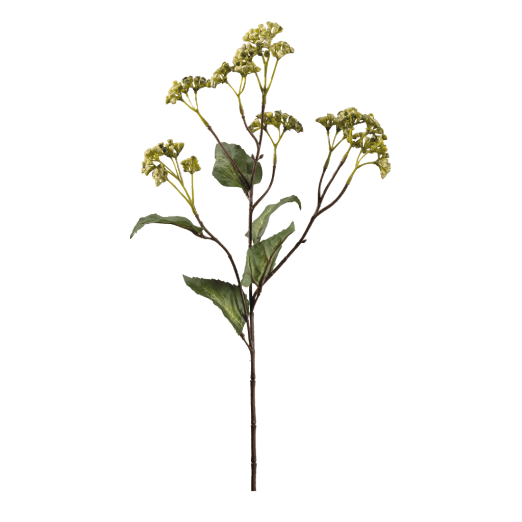 Hedera Helix | Vert — JA Lyttle