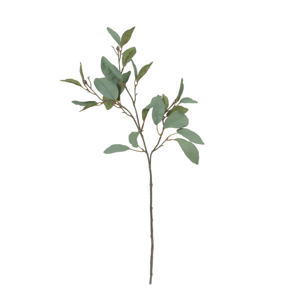 Magnolia | Sage — JA Lyttle