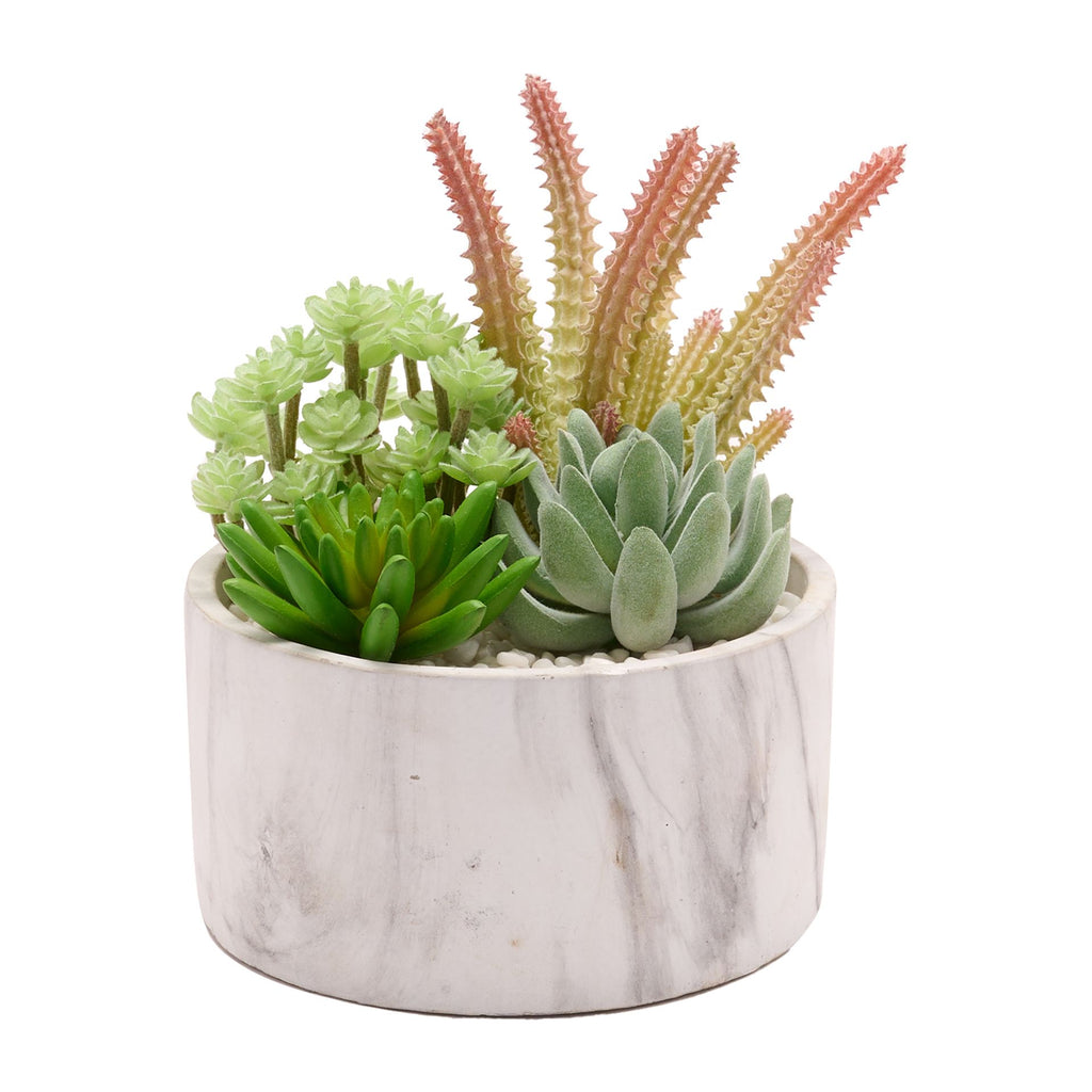 Vases & Planters — JA Lyttle