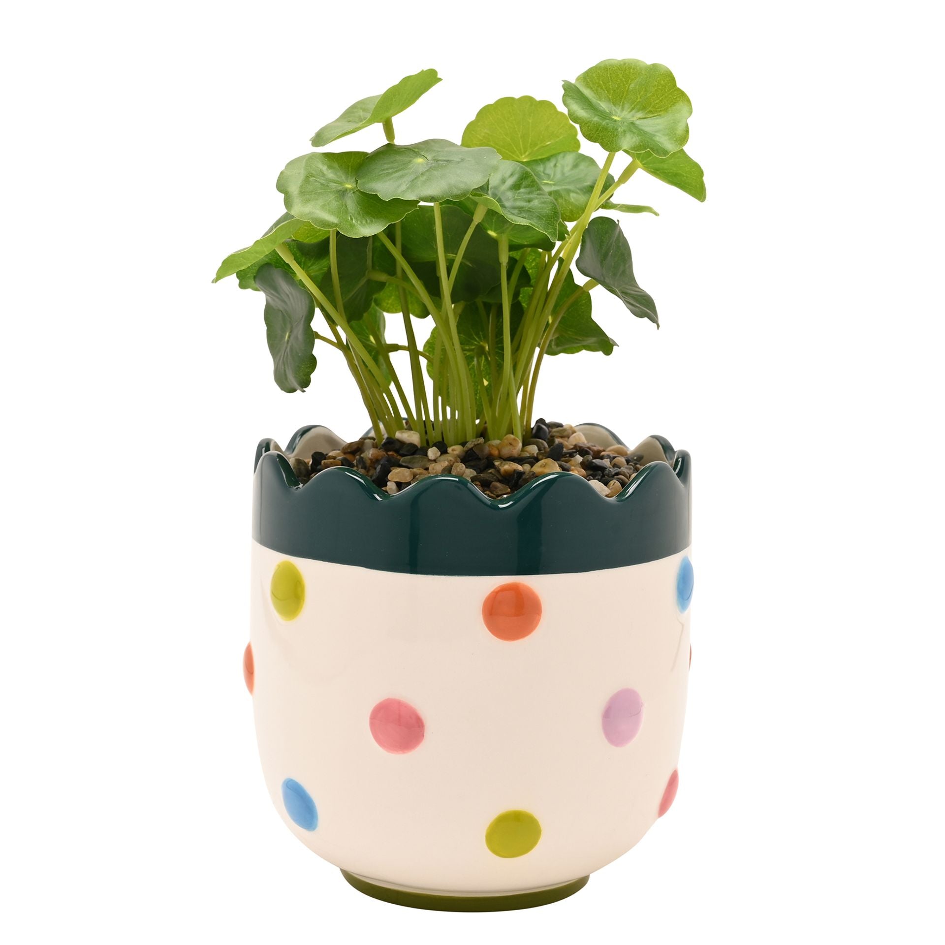 Raspberry Blossom | Bobble Planter with Faux Plant – JA Lyttle